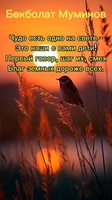 "Чудо есть одно на свете..." Бекболат Муминов, сборник "Стихи.Легенды.Сказы." #поэзия #стихиожизни