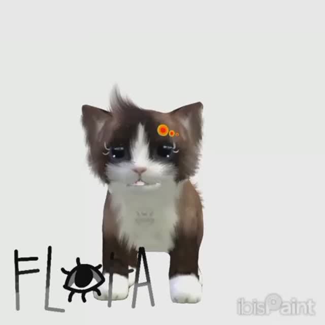 обработка кет сим тана