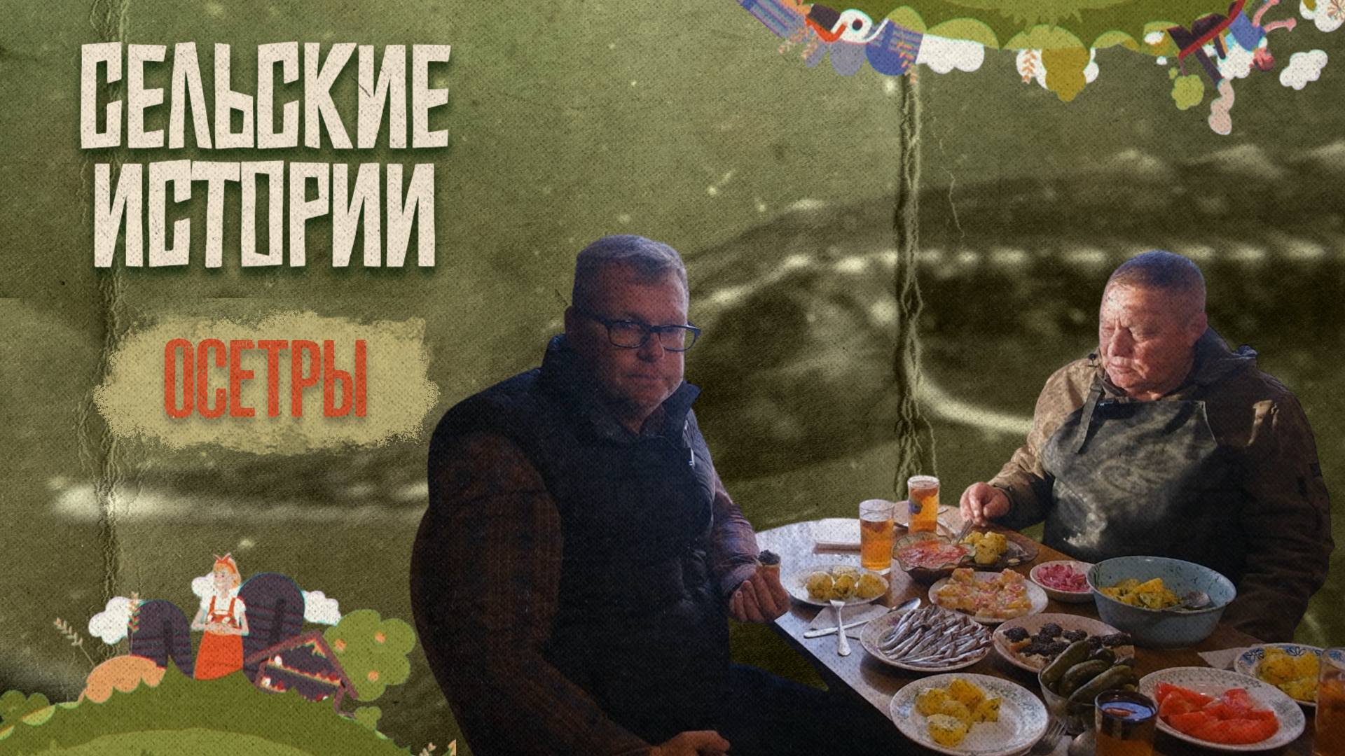 «СЕЛЬСКИЕ ИСТОРИИ» - Осетры