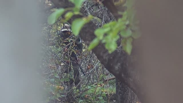 Воскреска в Пятигорске 19.10.25 - оборона Крепости