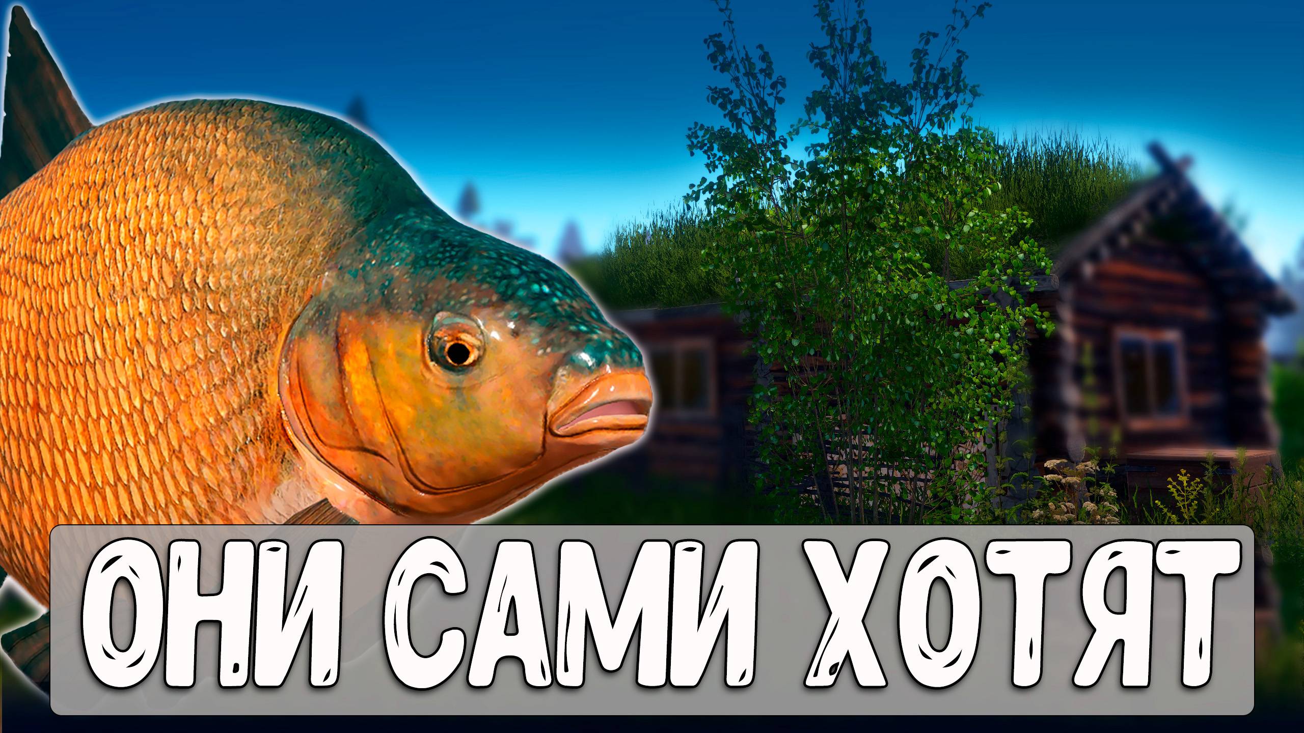 Эти лещи сами просятся на крючки для фарма #рр4