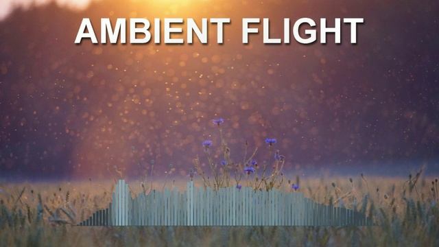 Ambient Flight (Ambient Space)