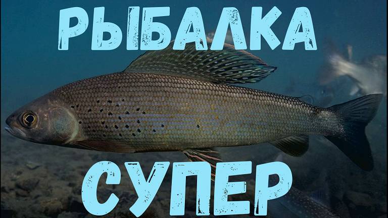 Шикарная рыбалка в Сибири!!! Отличный клёв!! Тайга! Река!