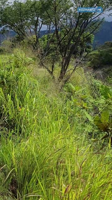 Почему пирамиды майя не рушатся?