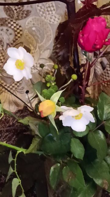 "ОСЕННИЙ БУКЕТ"