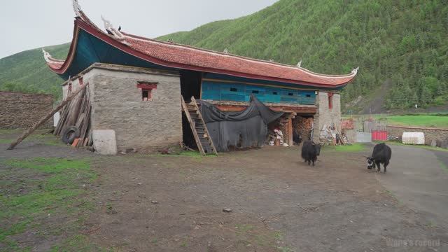 Китай. Прогулка по деревне Ризе в провинции Сычуань