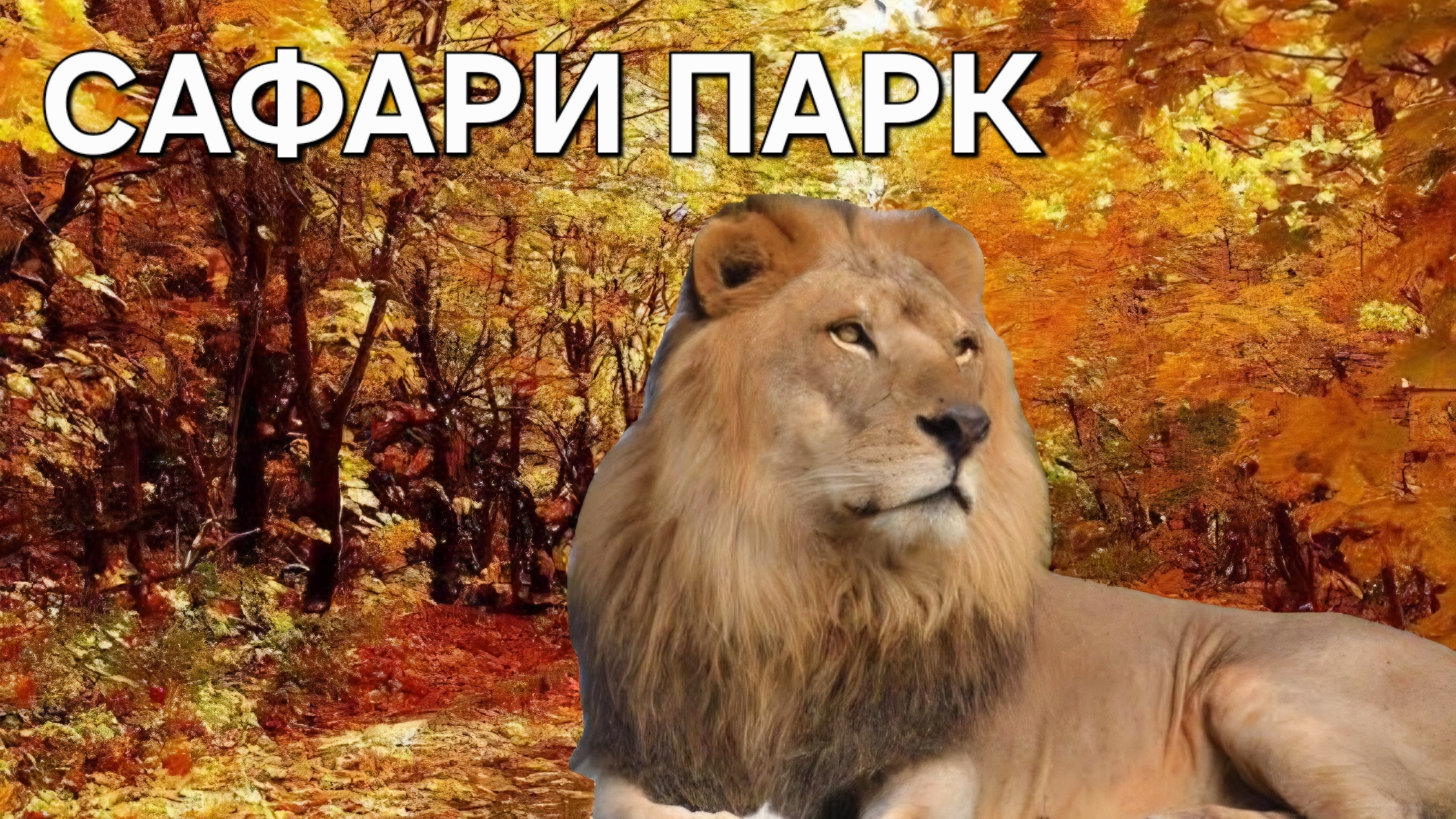 Приморский САФАРИ-ПАРК 𓃬 Safari Park