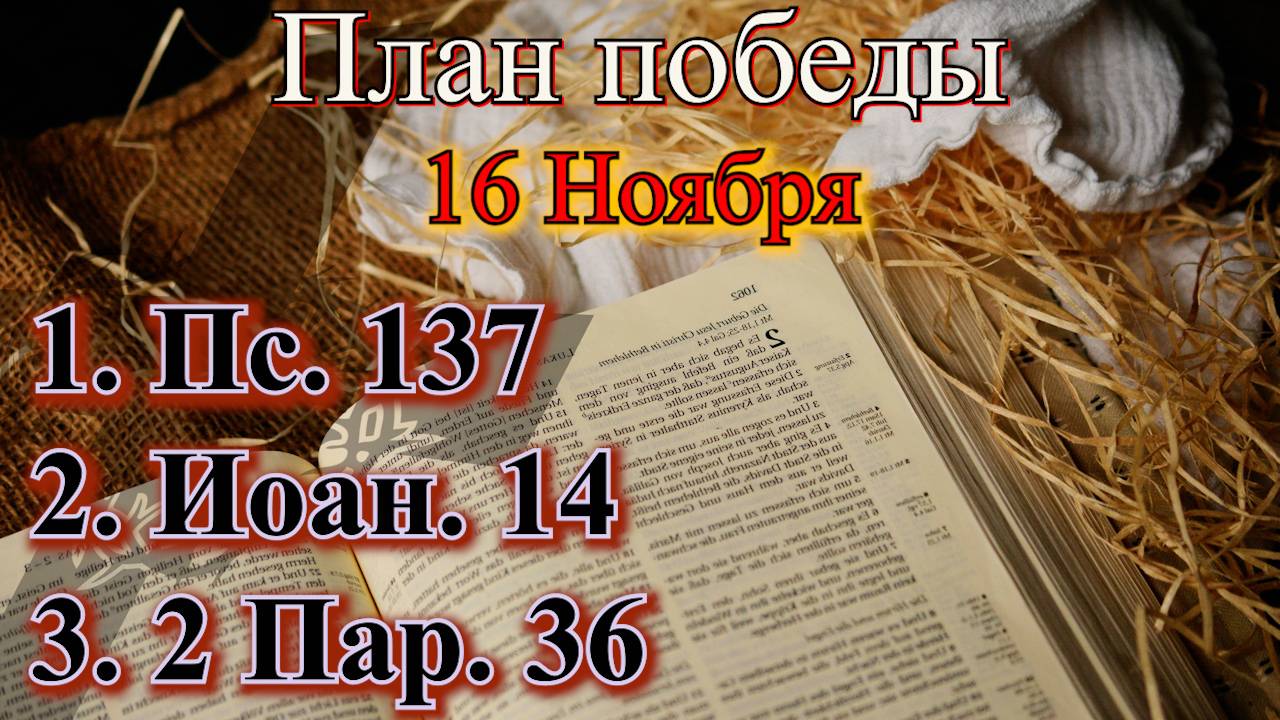 16 Ноября