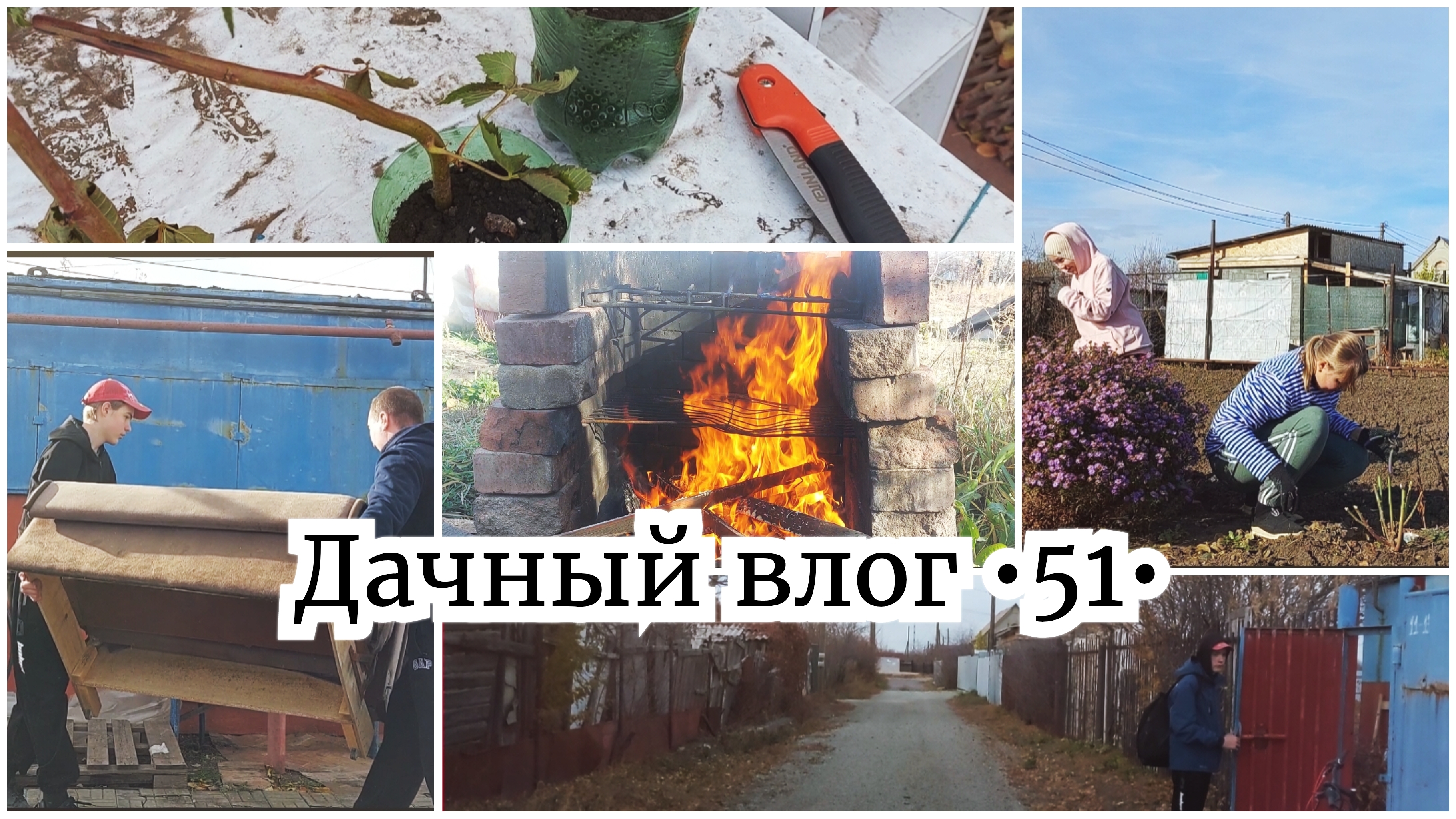 ОБРЕЗАЛА РОЗЫ 🌹 ПОСАДИЛА ЕЖЕВИКУ // УБИРАЕМ МЕБЕЛЬ В ЗИМУ // ЖАРИМ ШАШЛЫК