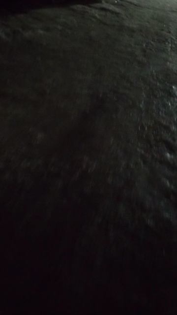 №288. Двор Сибирская 73. 19 марта 2025 г., 21:01:14. VID_20250319_210047851