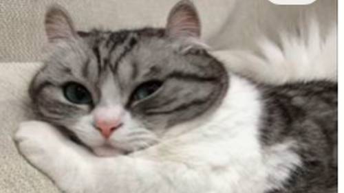 Я убийца слаймов!!! 🔪🔪🔪