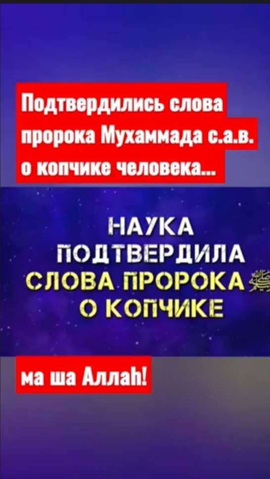 Наука и Ислам.Копчик человека...