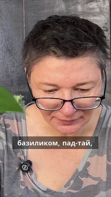 Гастрономические приключения в сердце северного Таиланда начинаются… с рынка!