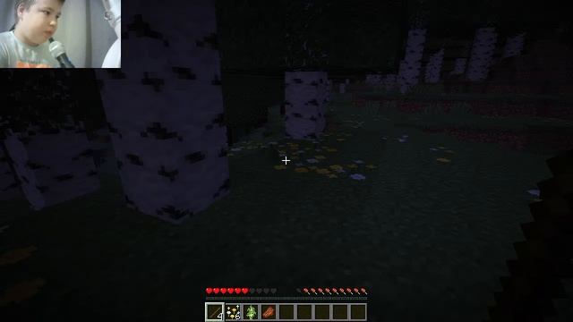 Выживаю в майнкрафт!