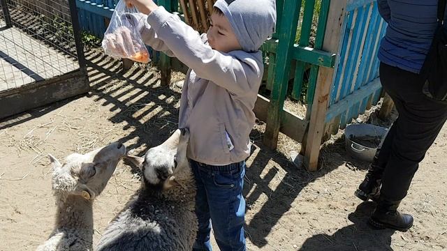 Пакеты не есть!