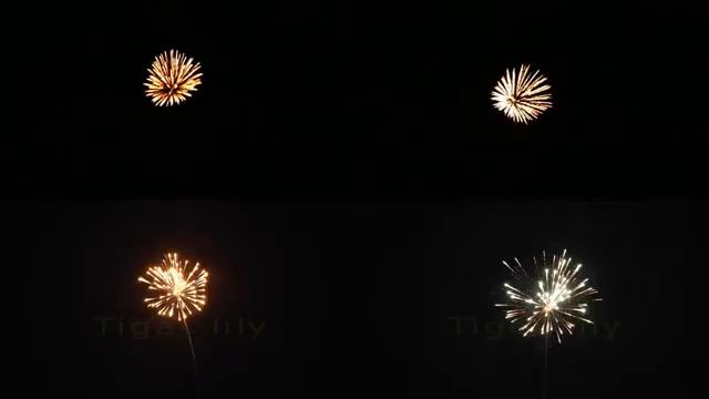 FPR12 SHELL ROCKET 2.5"