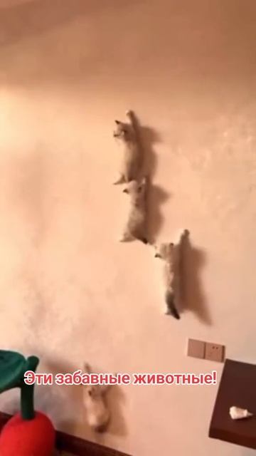 Ещё немного милоты