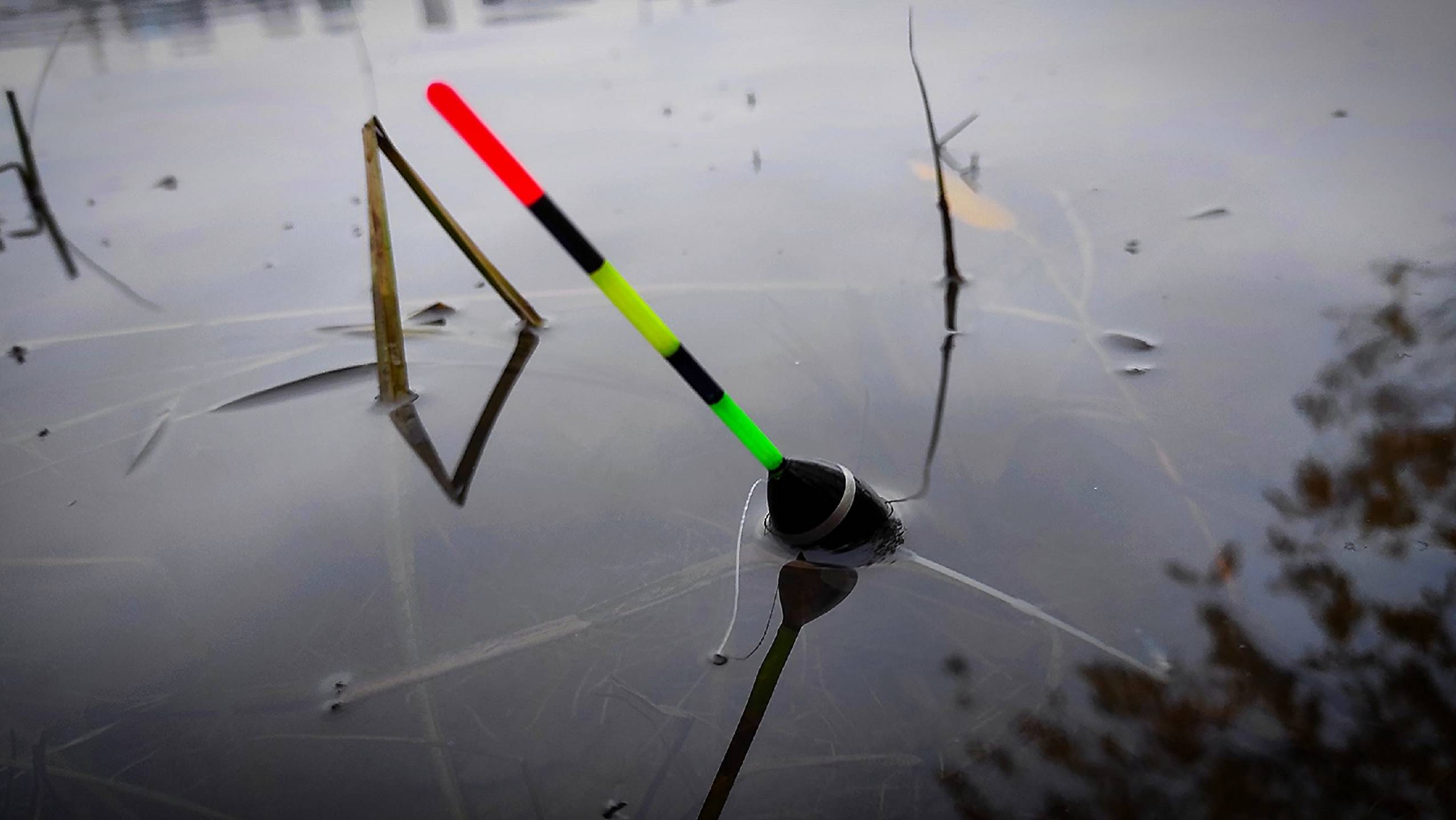 НАЛОВИЛ ПРОСТО ЖЕСТЬ! Поздняя осень выдала ЖОР на поплавок! Рыбалка 2025