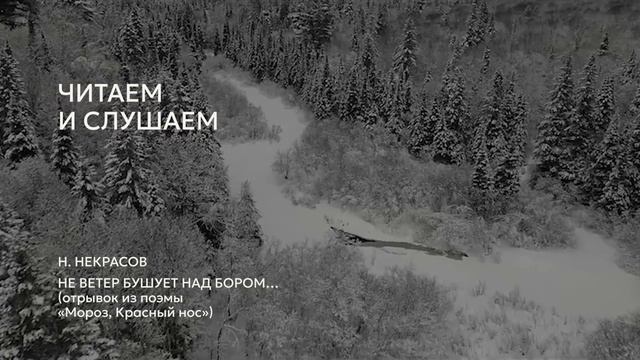 Возьмите на урок: Н. Некрасов "Не ветер бушует над бором…"