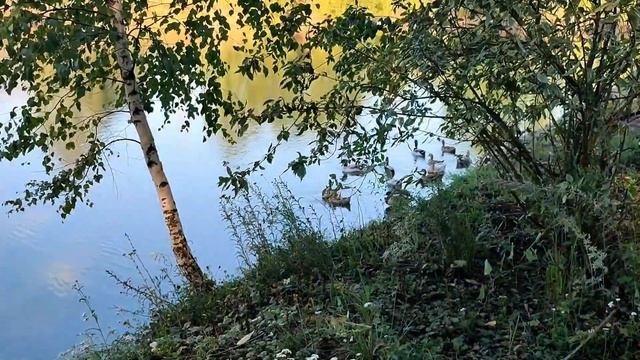 Эрнесто Кортазар. Голубые воды.Ernesto Cortazar.   Blue Waters