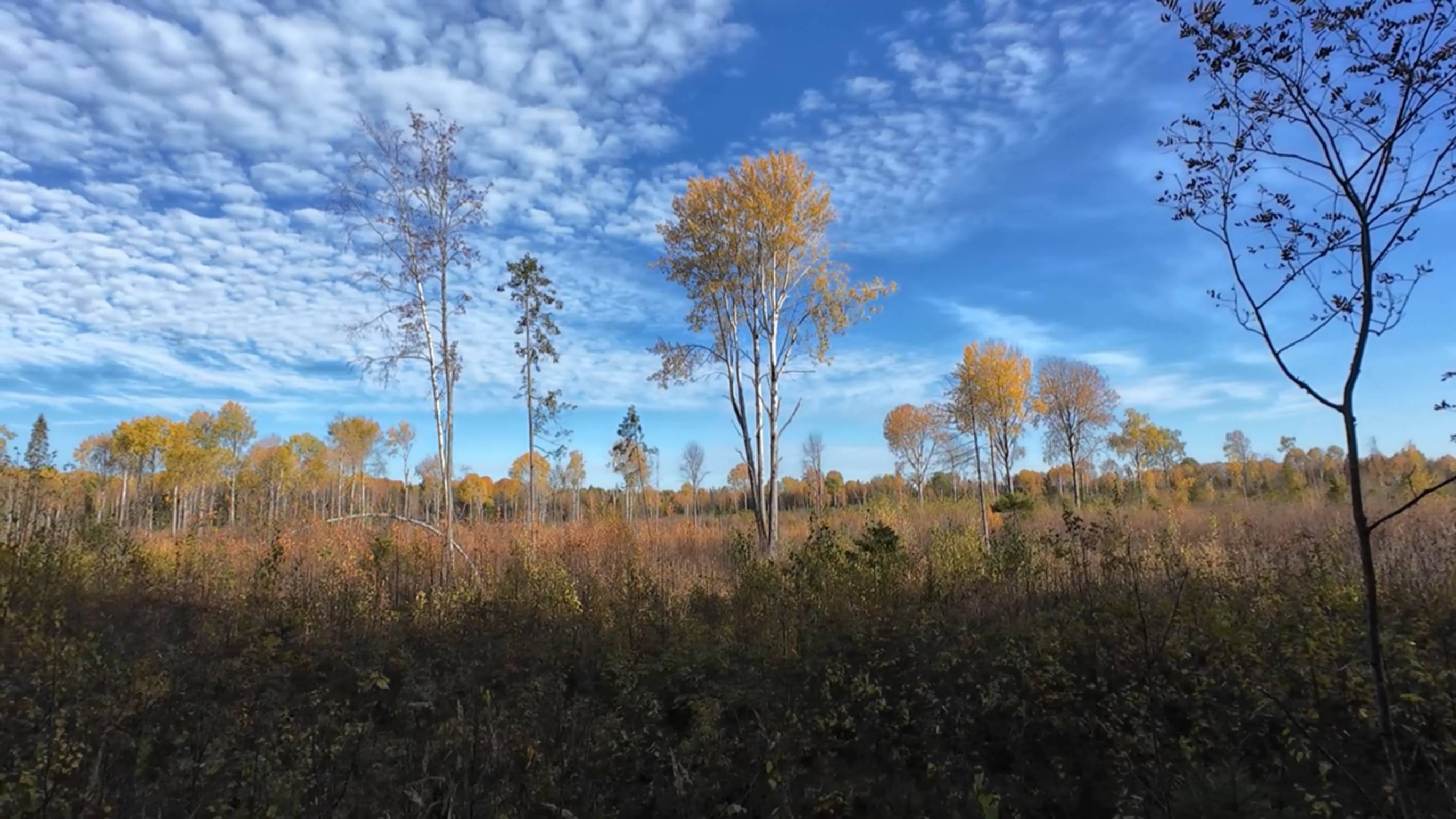Охота на рябчика. Первый поход с новой экшн-камерой .