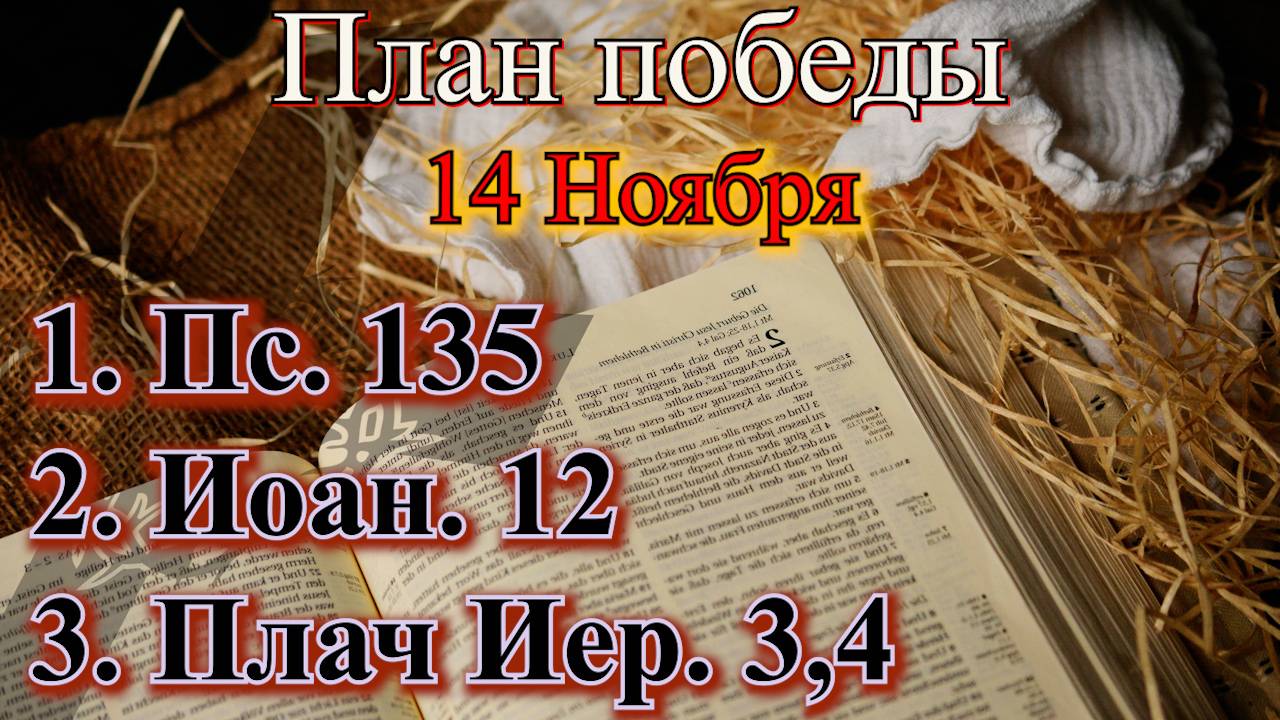 14 Ноября
