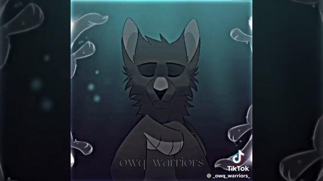 Коты воители. Синяя Звезда. 🌊🌊🌊