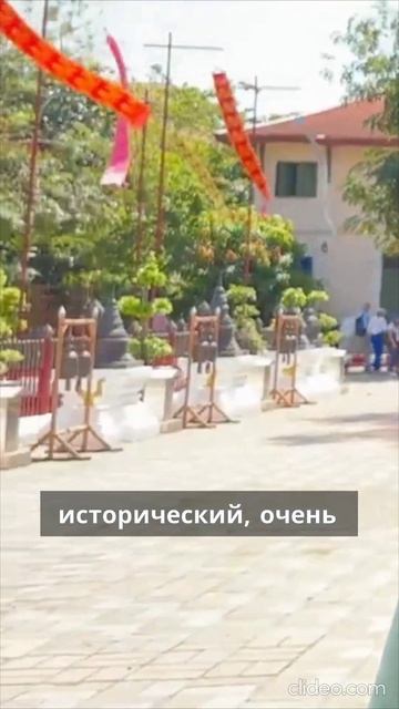 Будды Чиангмая