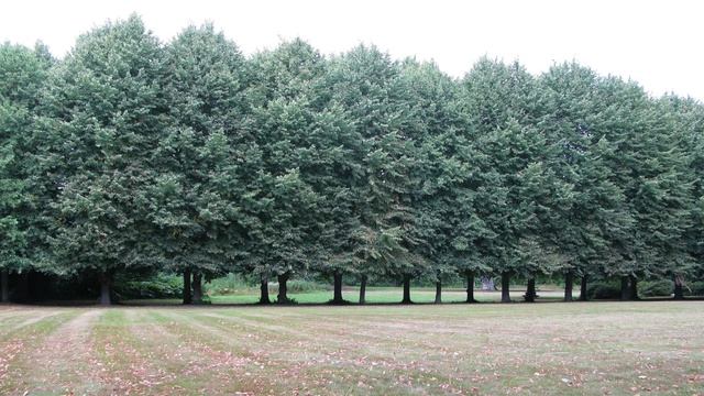 Rosenholm Slot  03.08.2008