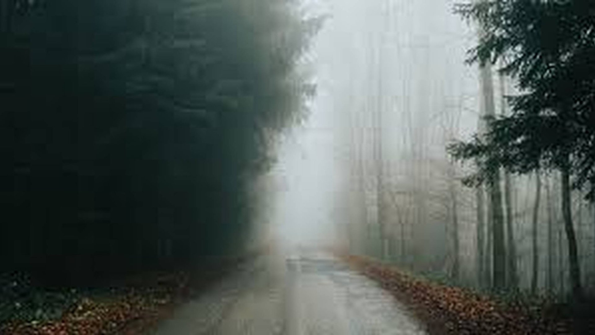 Сквозь туман в ад. Слушать жуткую историю.