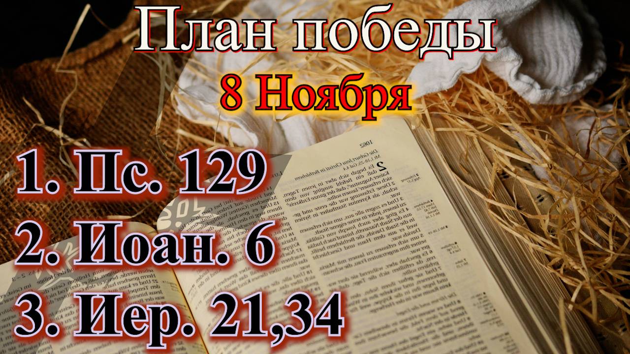 8 Ноября