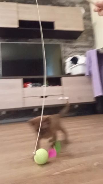 а что есть у меня?