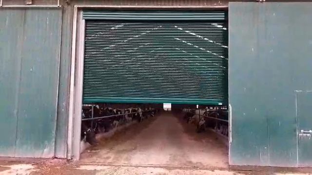 Автоматические стальные роллеты