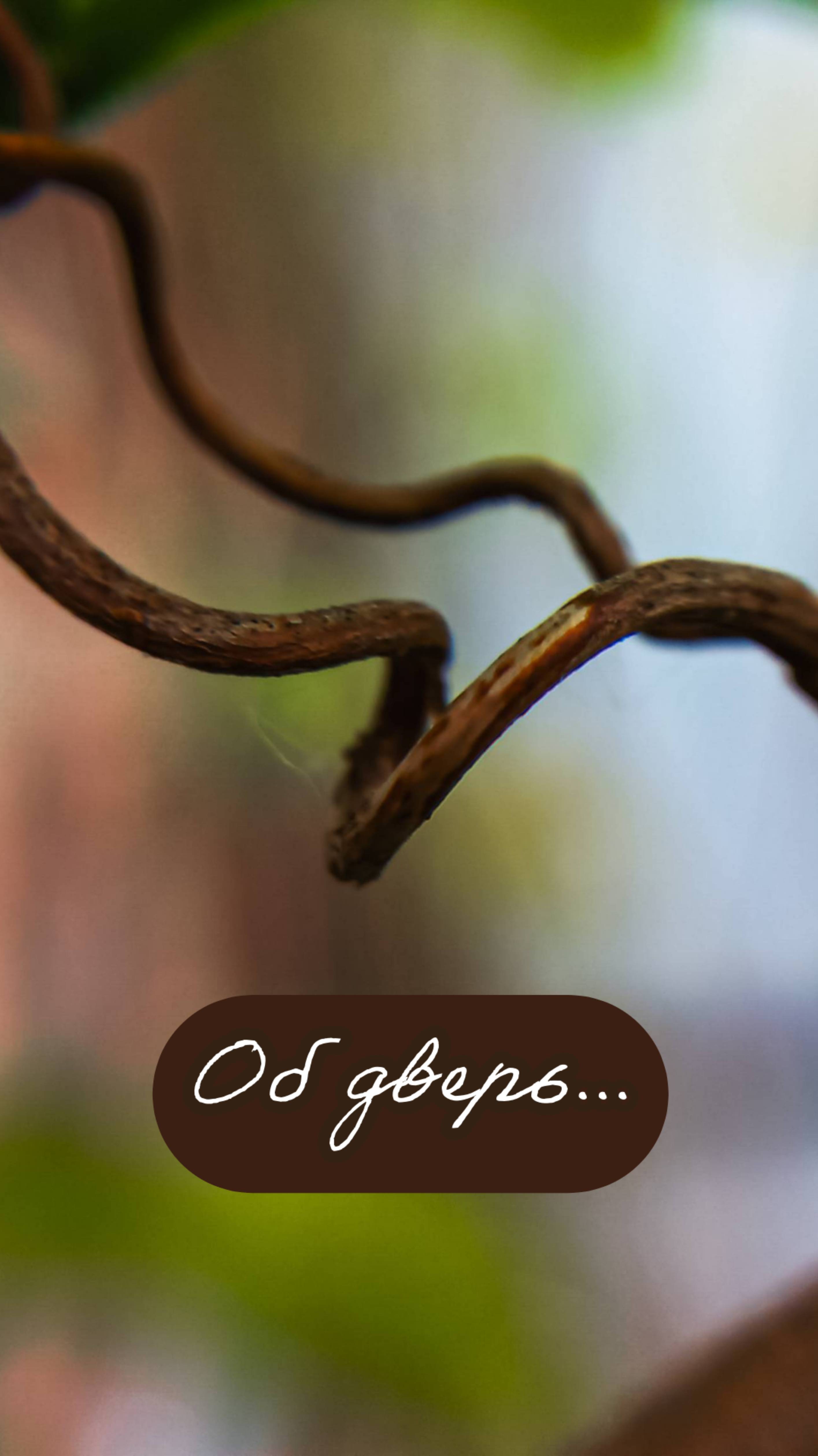 Об дверь #shorts