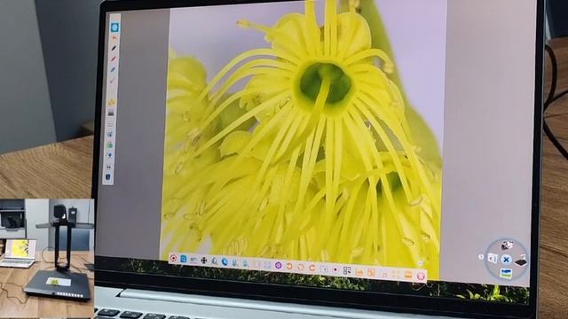 Документ-камера (визуальный презентер) COOBSTER FT-F801