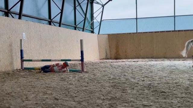 Конное дефиле