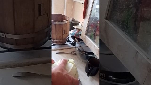 Как засолить капусту в бочке