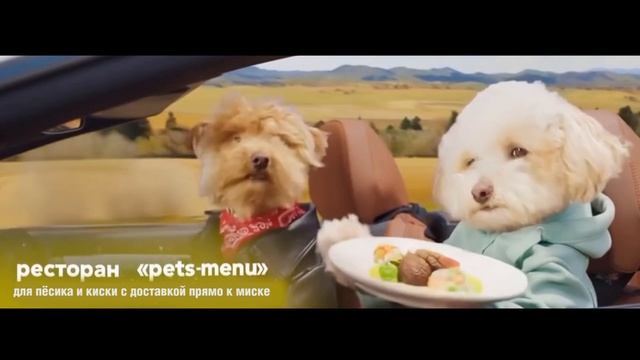 ПЭТСменю|Супермэн