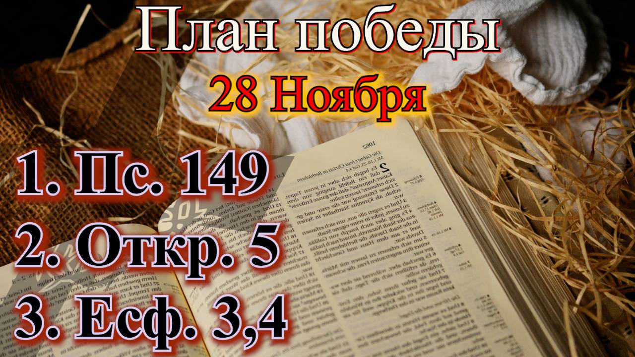 28 Ноября
