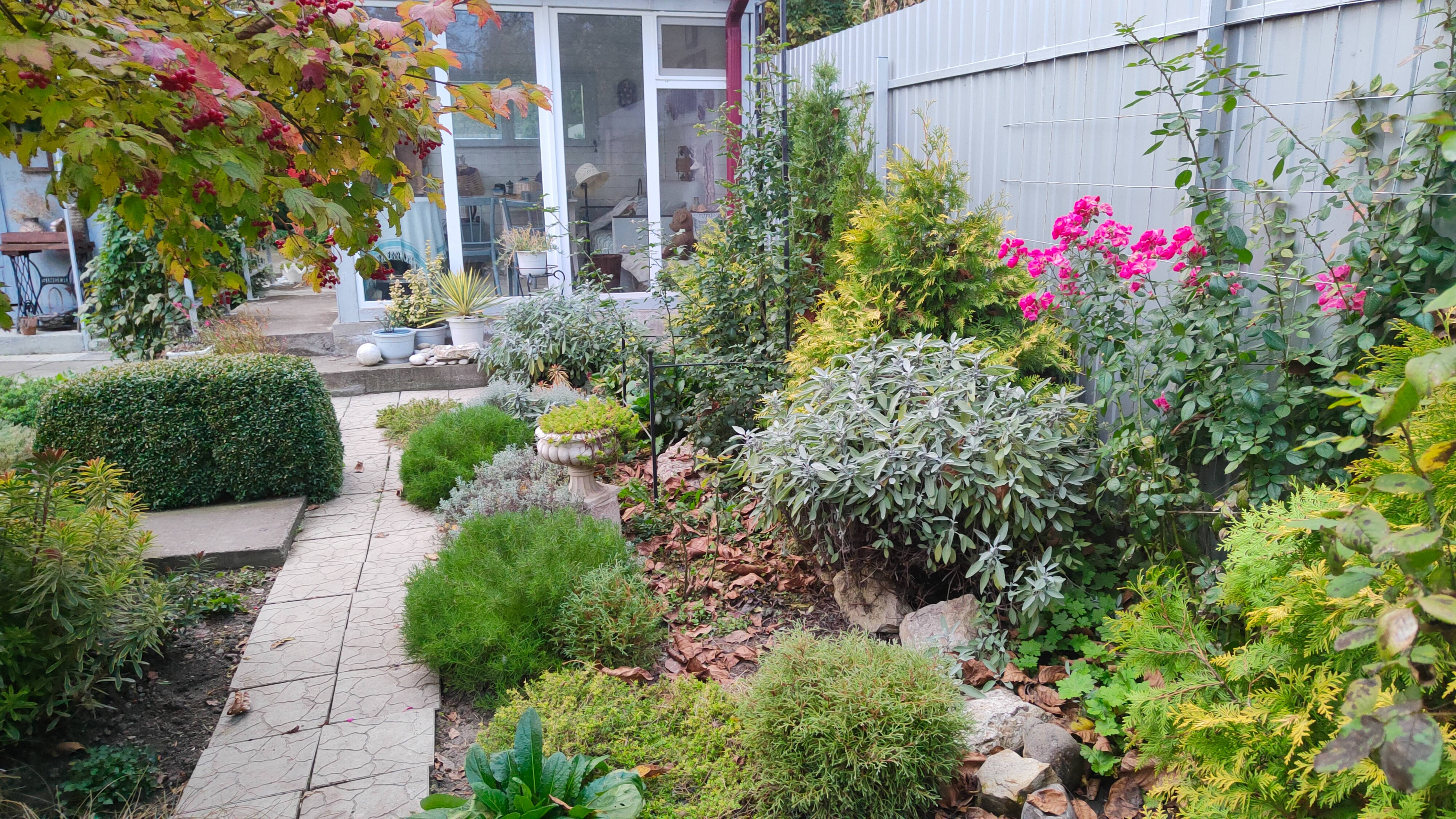 4 сезона одна клумба, как смотрится мой средиземноморский садик весной, летом, осенью и зимой.