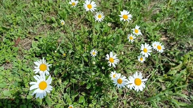 Притча о любви