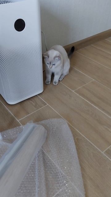 Маленький инспектор)))