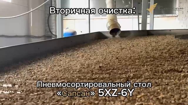 Услуги очистки и сортировки зерен кофе на линии Сапсан