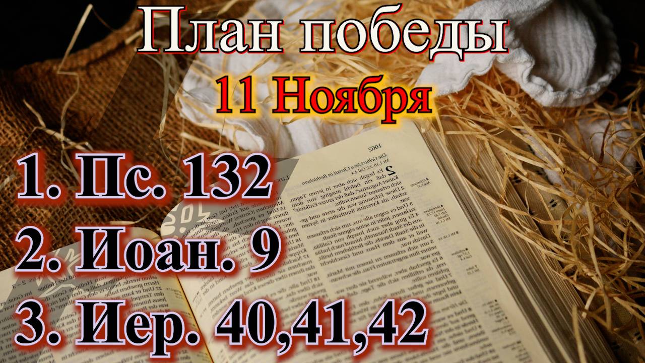 11 Ноября