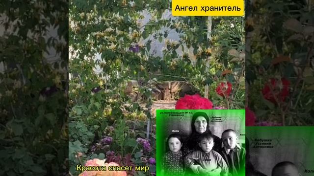 Медногорск   Бабушка Устиния и внуки  Ангел хранитель