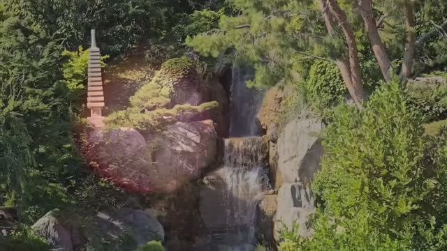 ФЕСТИВАЛЬ  САКУРЫ ШЕСТЬ ЧУВСТВ25