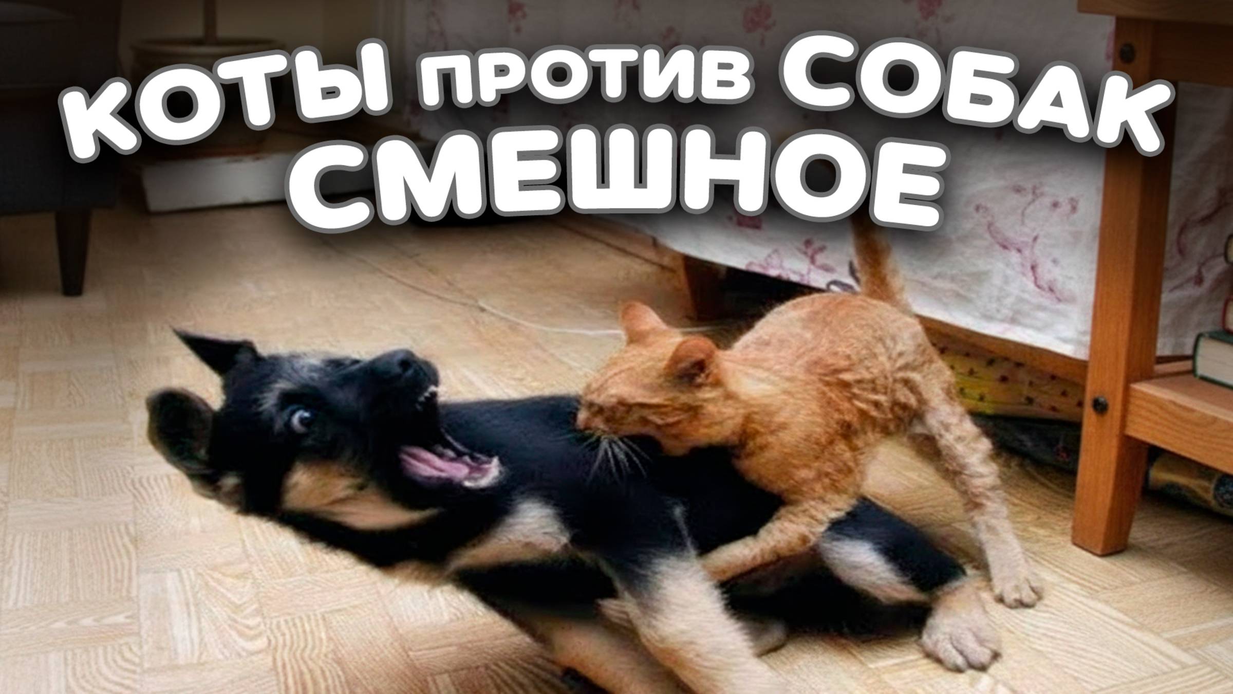 Коты против собак: Когти правят миром