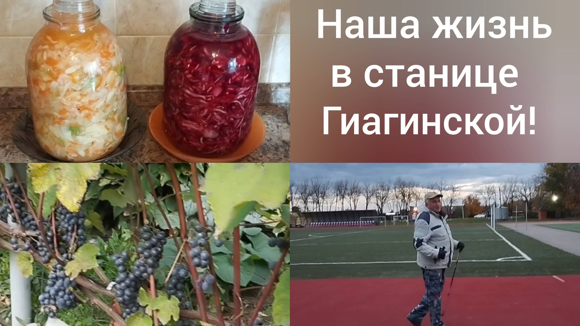 наш сад