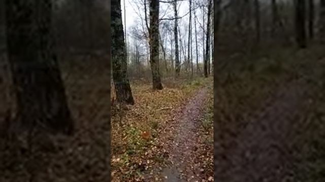 ЧАСТЬ ПЕРВАЯ