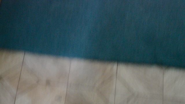 Щенкам курцхаара  3 недели